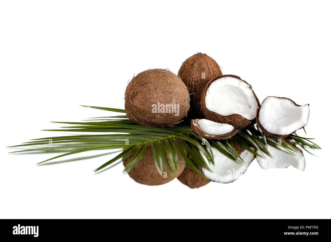 still-life of coconut cracked nut with olive-branch on white background ...