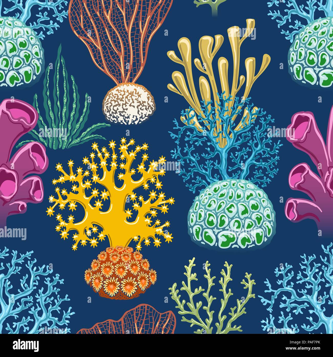Colorful Sea Plants