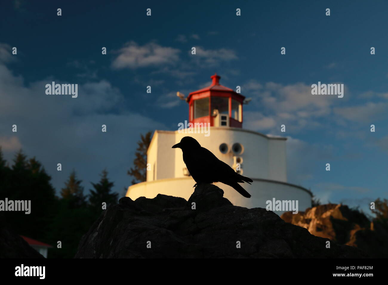 Amphitrite Point Lighthouse near Uclulelet, Vancouver island, British ...