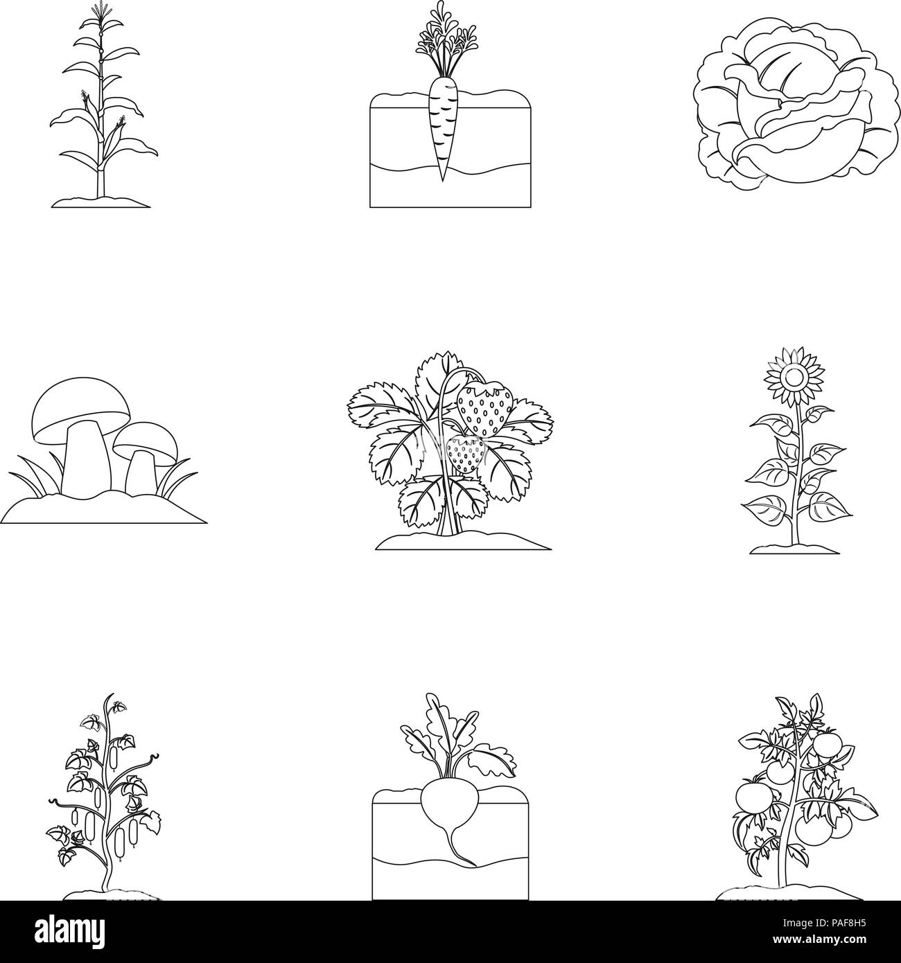 Plant set icons in outline style. Big collection of plant vector symbol ...