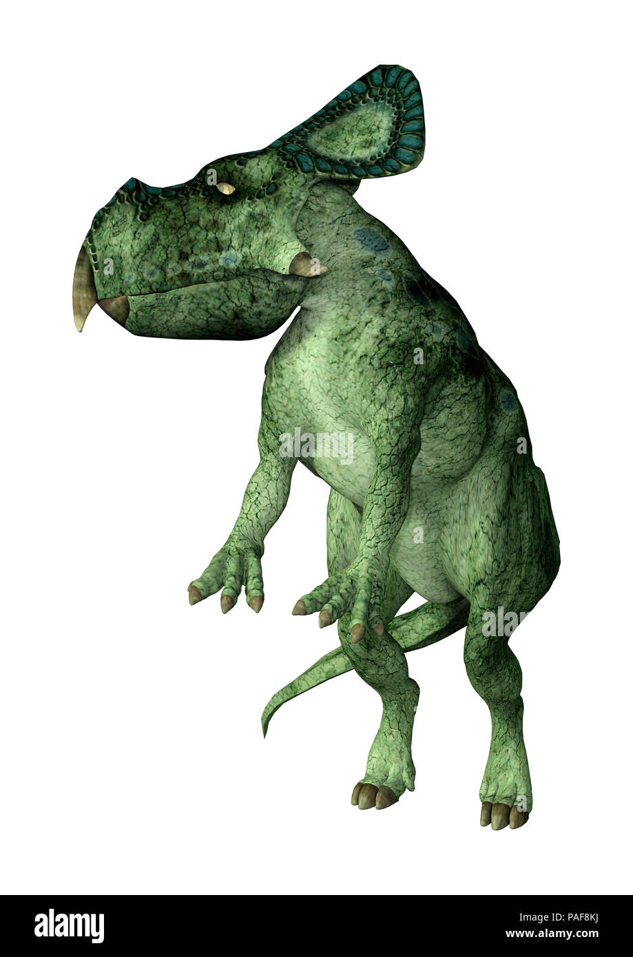 3D rendering of a dinosaur Protoceratops isolated on white background ...