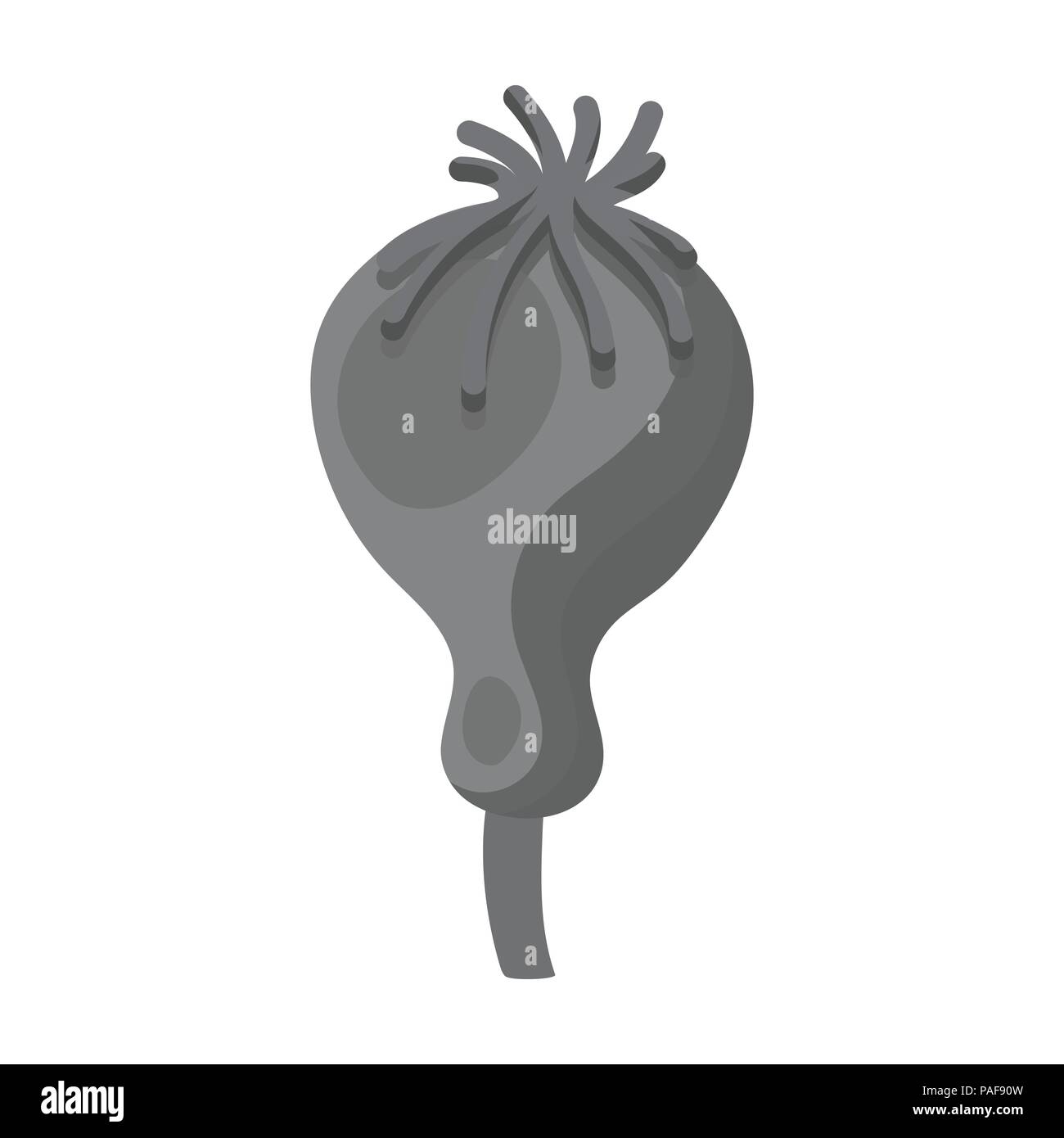 Opium poppy icon in monochrome style isolated on white background ...