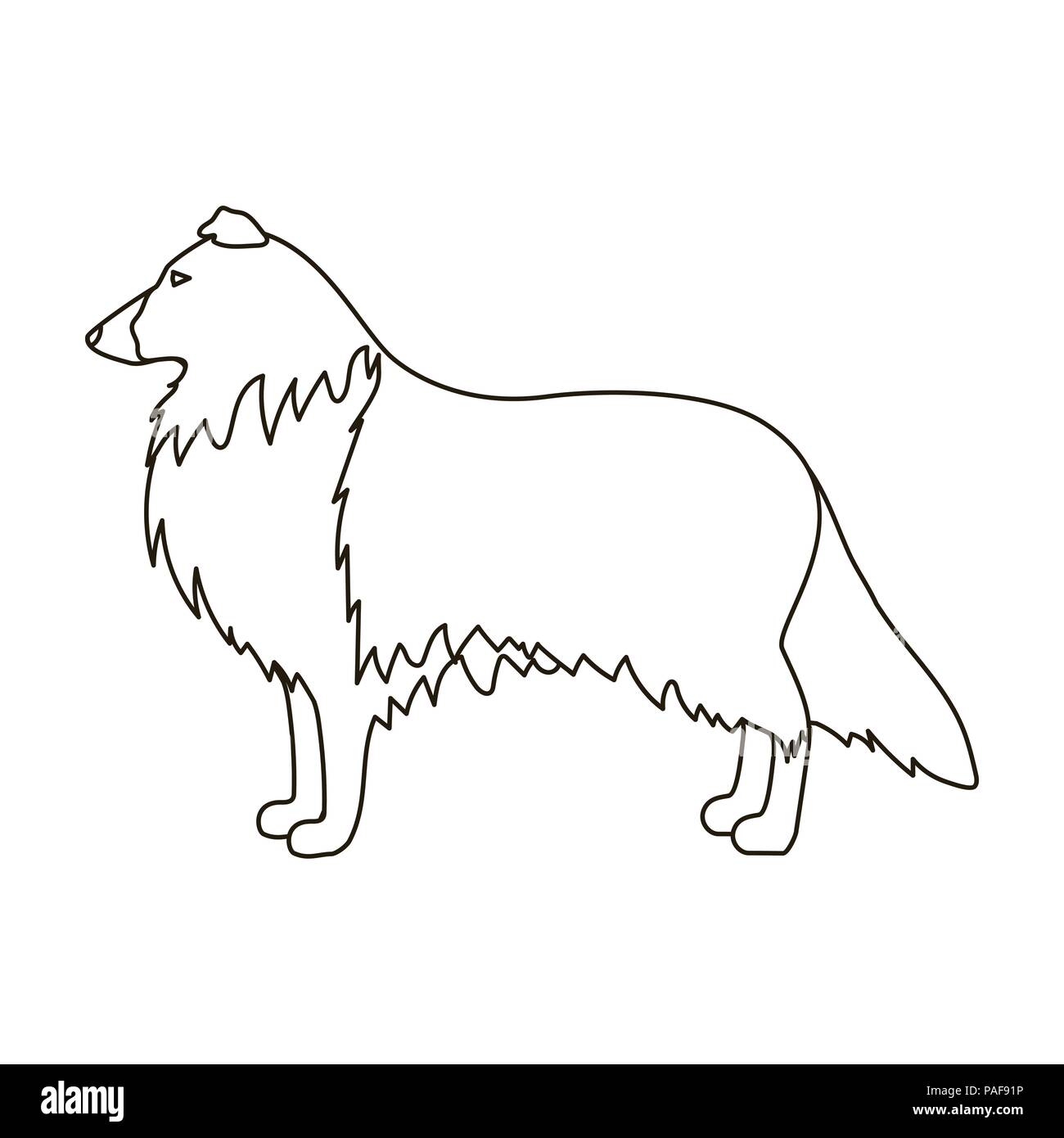 Collie icon in outline style isolated on white background. Dog breeds ...
