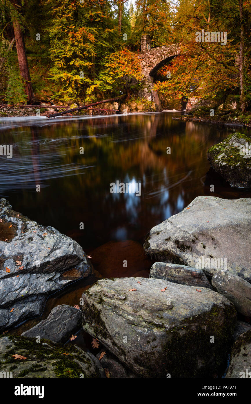 Hermitage bridge hi-res stock photography and images - Alamy