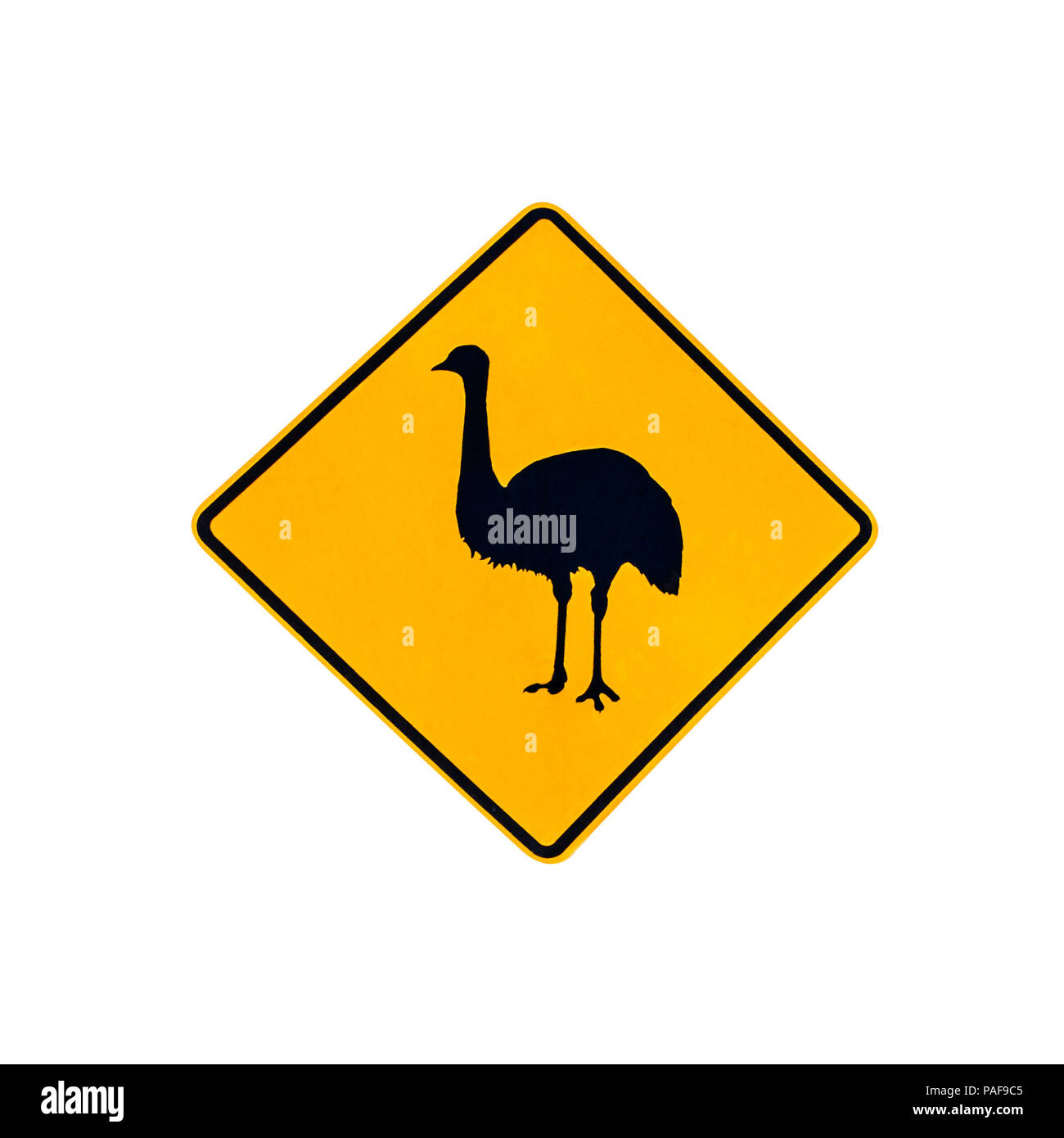 Emus crossing road hi-res stock photography and images - Alamy