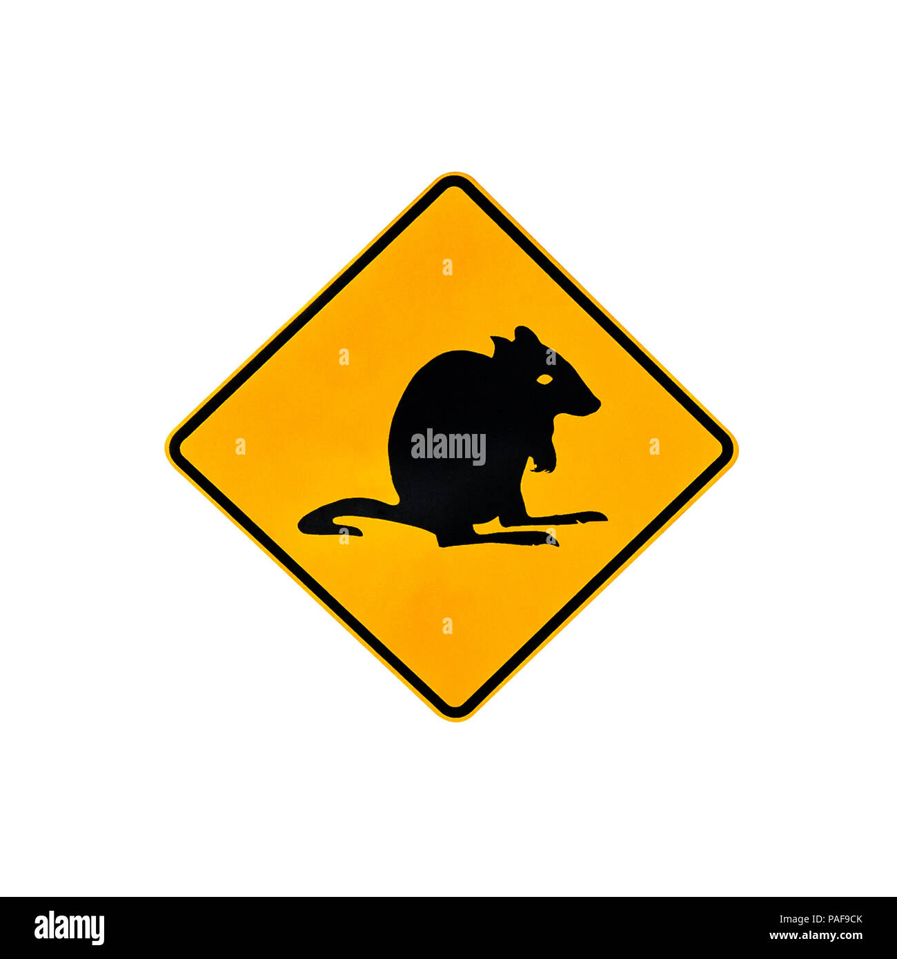 Australian wildlife warning road sign for rats on the road and highways ...