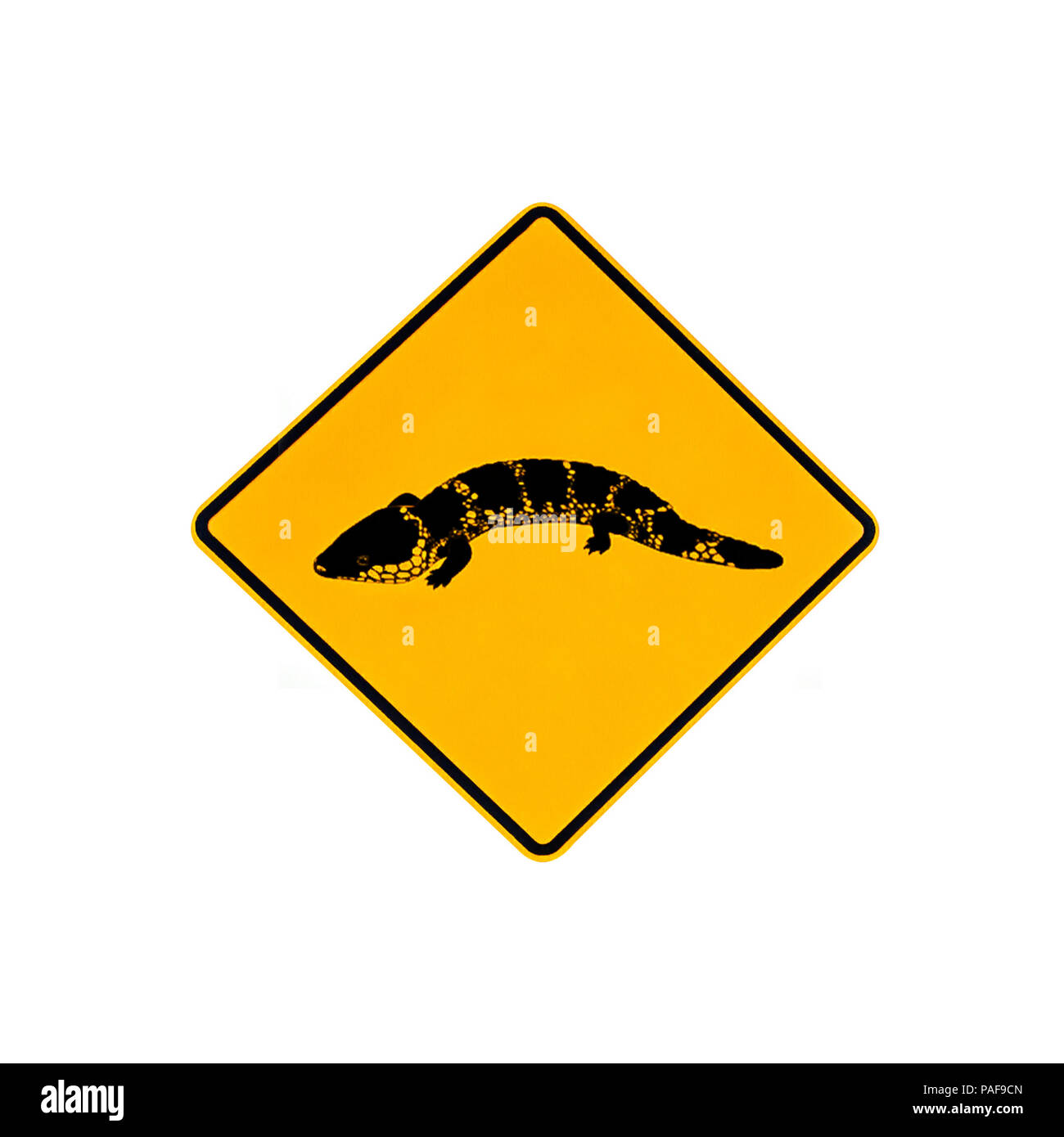 Australian wildlife warning road sign for reptiles and skink on the ...