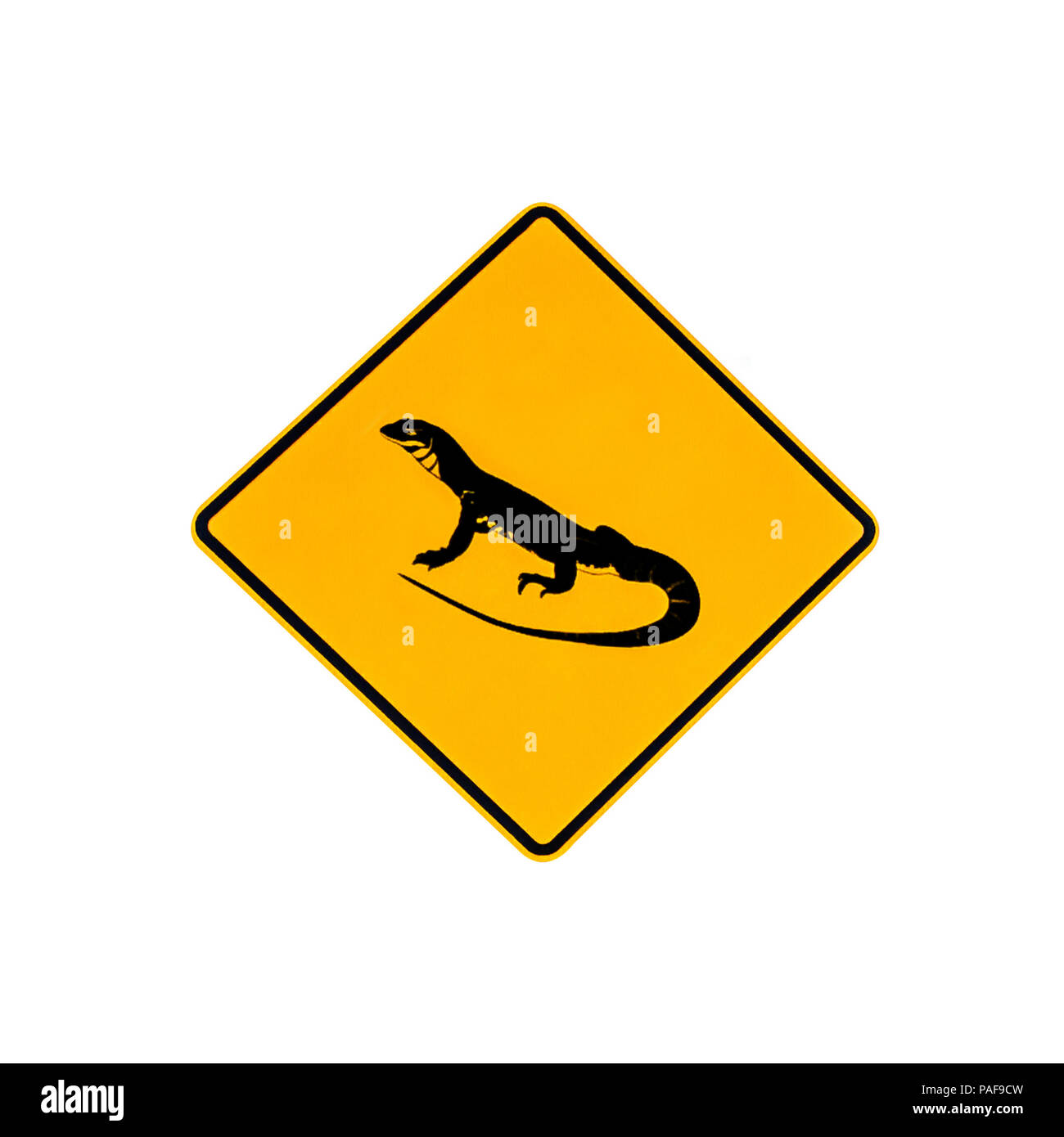 Lizards of australia Cut Out Stock Images & Pictures - Alamy