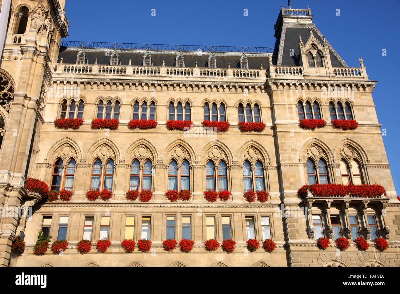 Vienna city hall windows hi-res stock photography and images - Alamy