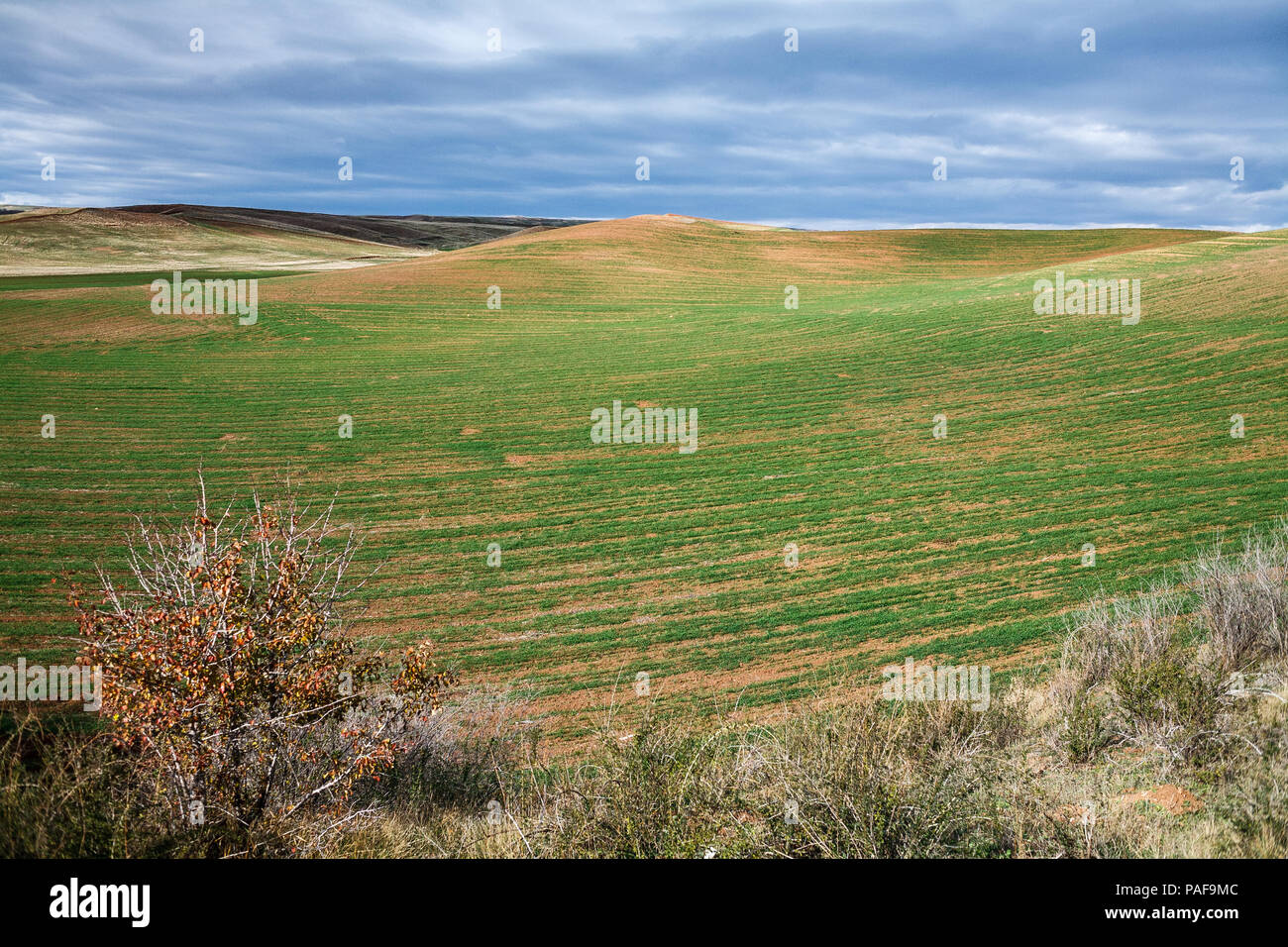Autumn field landscape in rurral areas of Turkey Stock Photo - Alamy