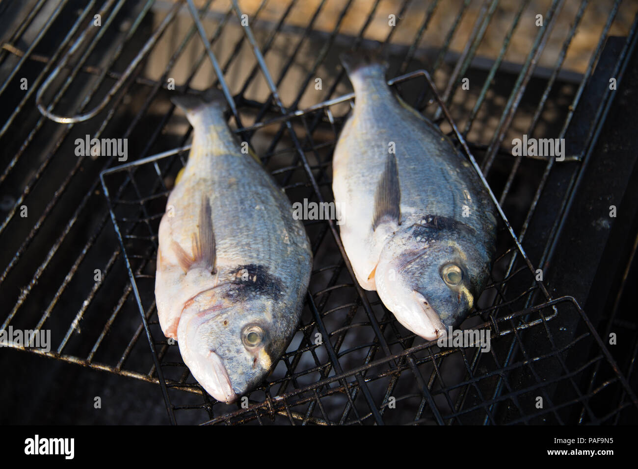 These two sea bream are prepared and ready to cook outside on the ...