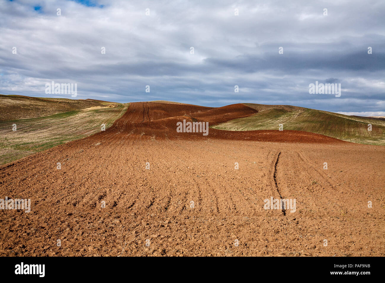 Sunlight and scenic agriculture and rural areas hi-res stock ...