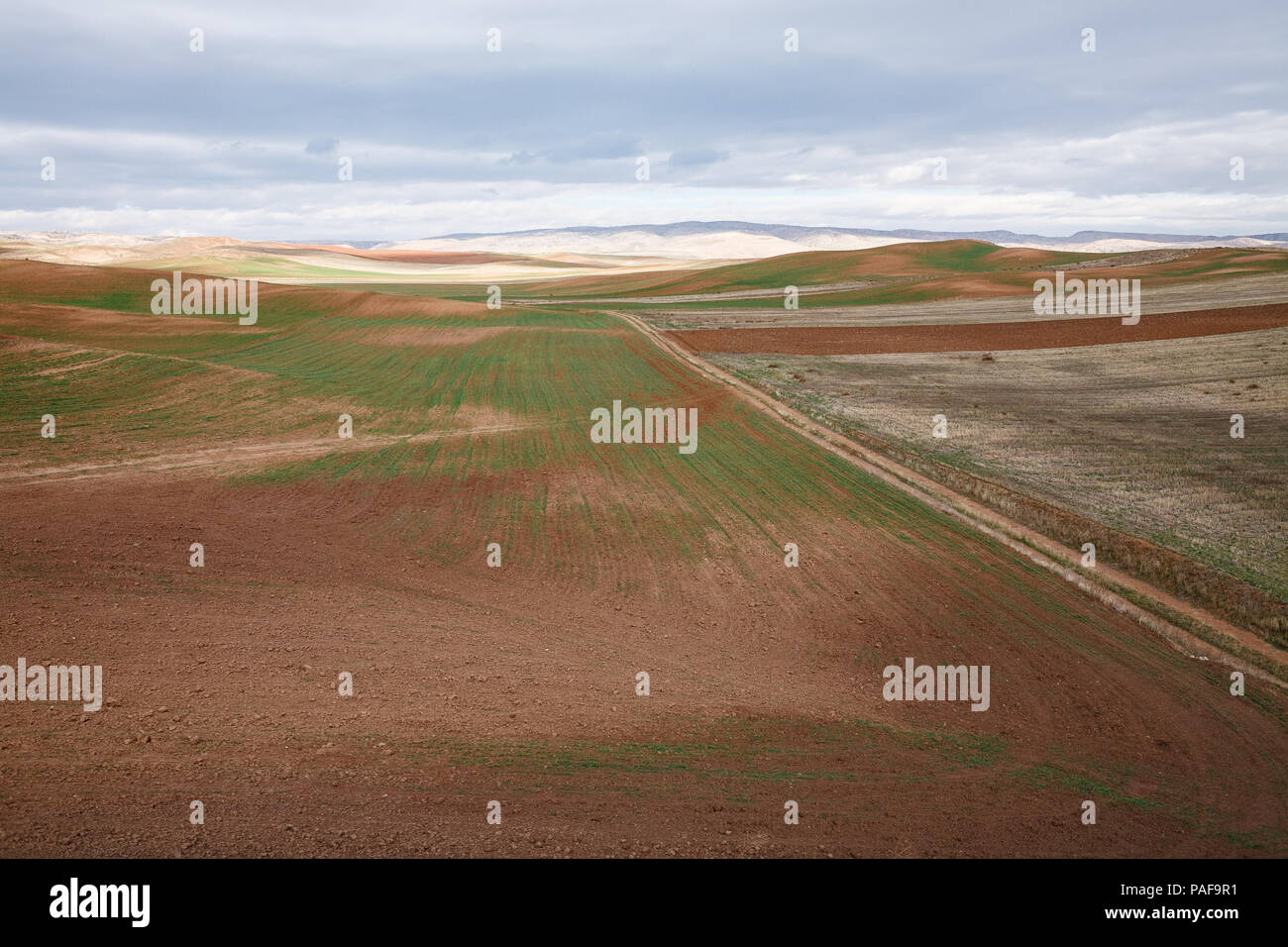 Sunlight and scenic agriculture and rural areas hi-res stock ...