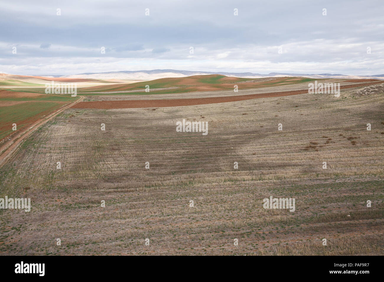 Autumn plowed field in rurral areas of Turkey Stock Photo - Alamy