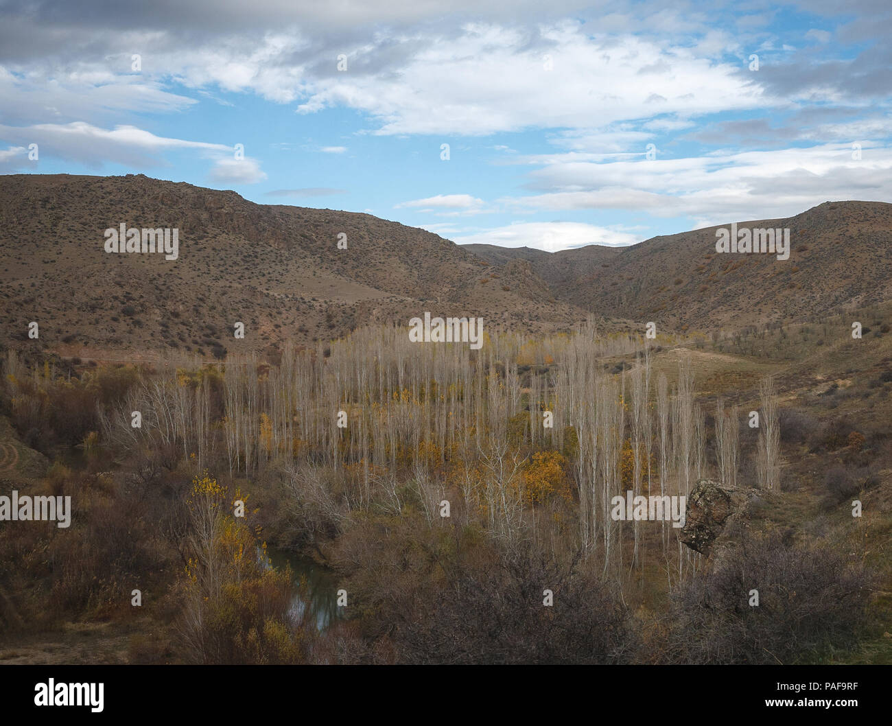 Rural areas with beautiful scenic trees hi-res stock photography and ...