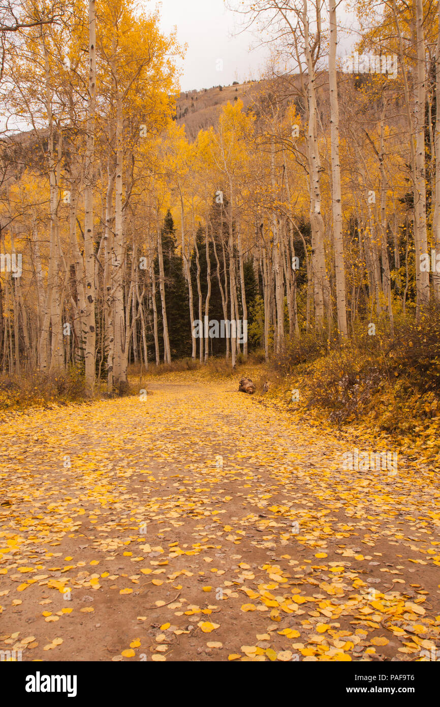 Fall road B 2010 Stock Photo - Alamy