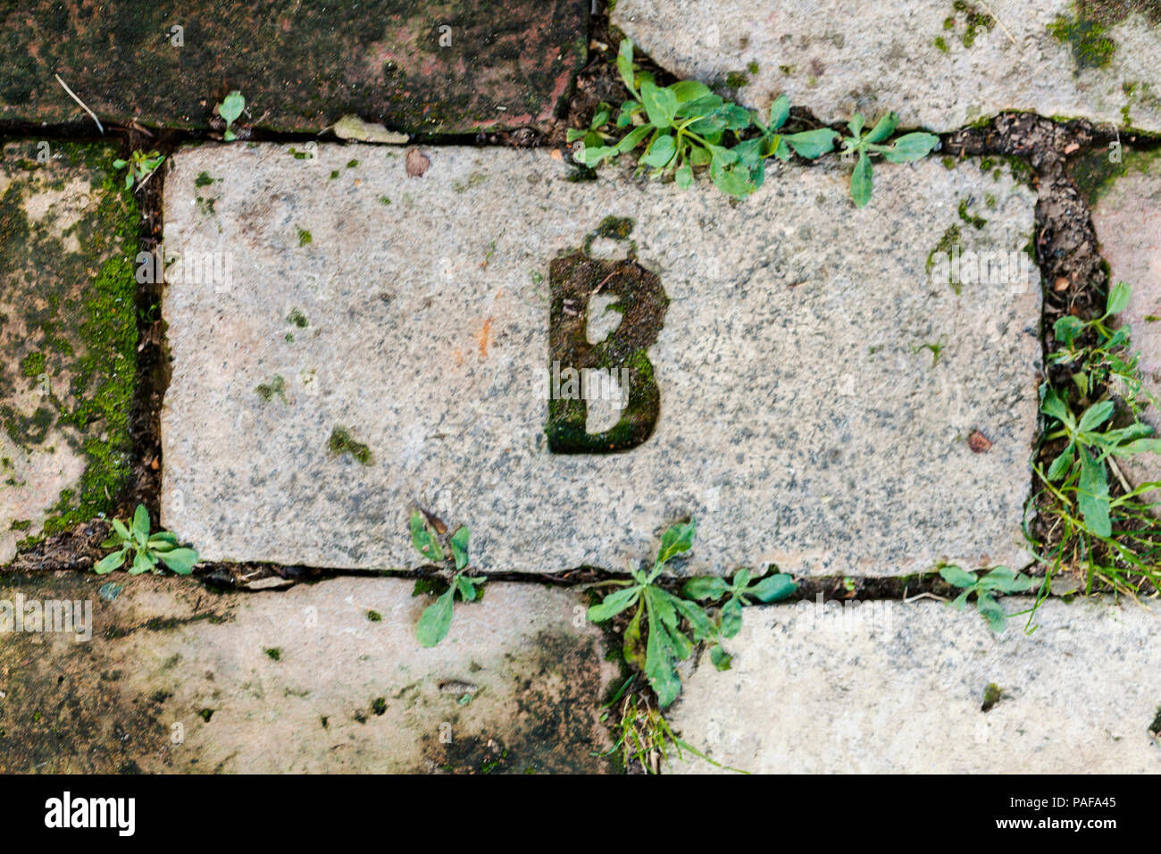 Letters carved in rock hi-res stock photography and images - Alamy