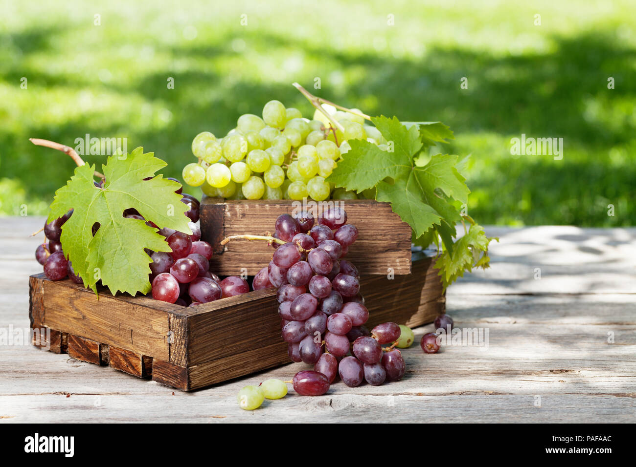 White and red grape on garden table. Outdoor still life Stock Photo - Alamy