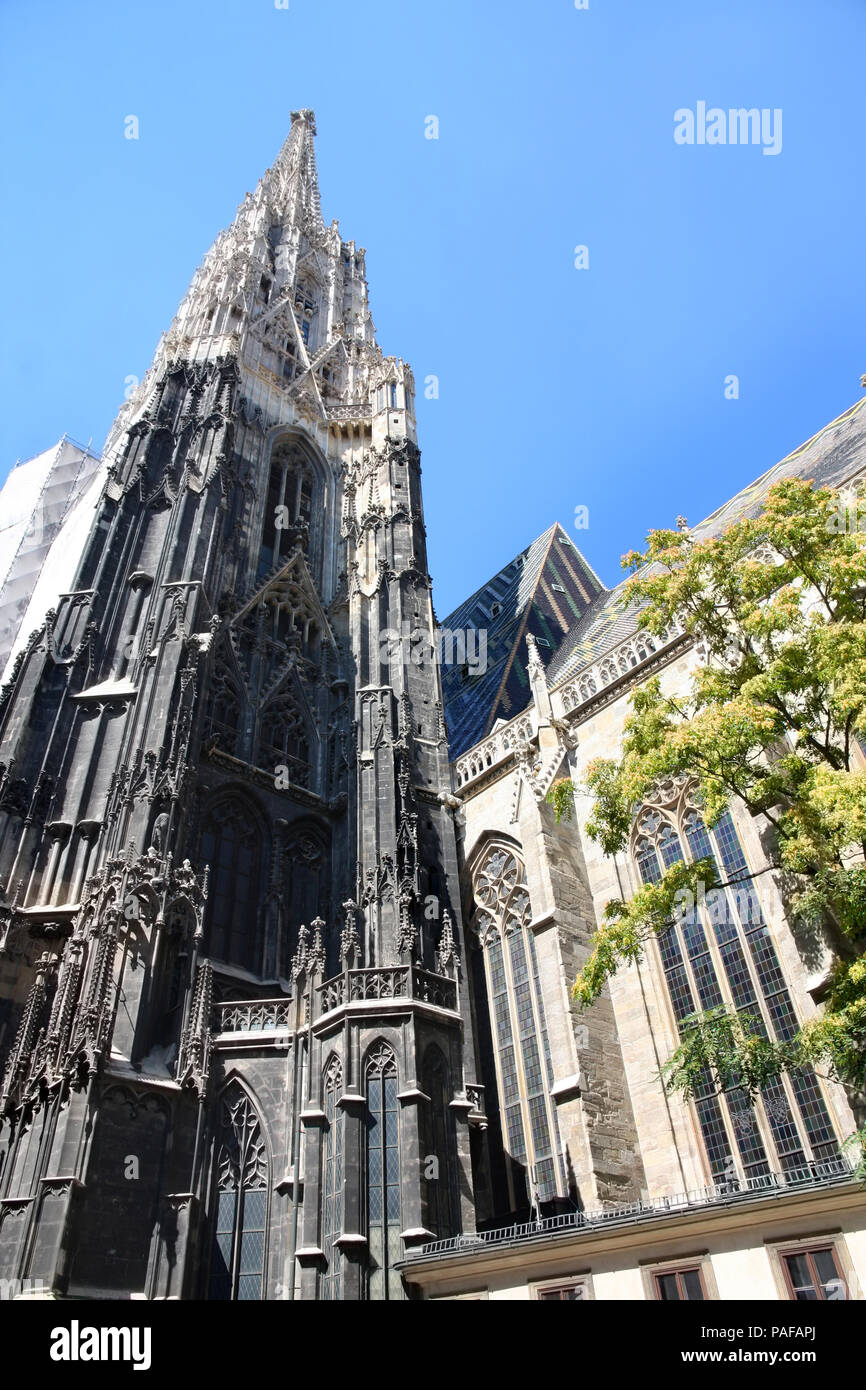 St.Stephan Cathedral (Stephansdom) in Vienna, Austria Stock Photo - Alamy