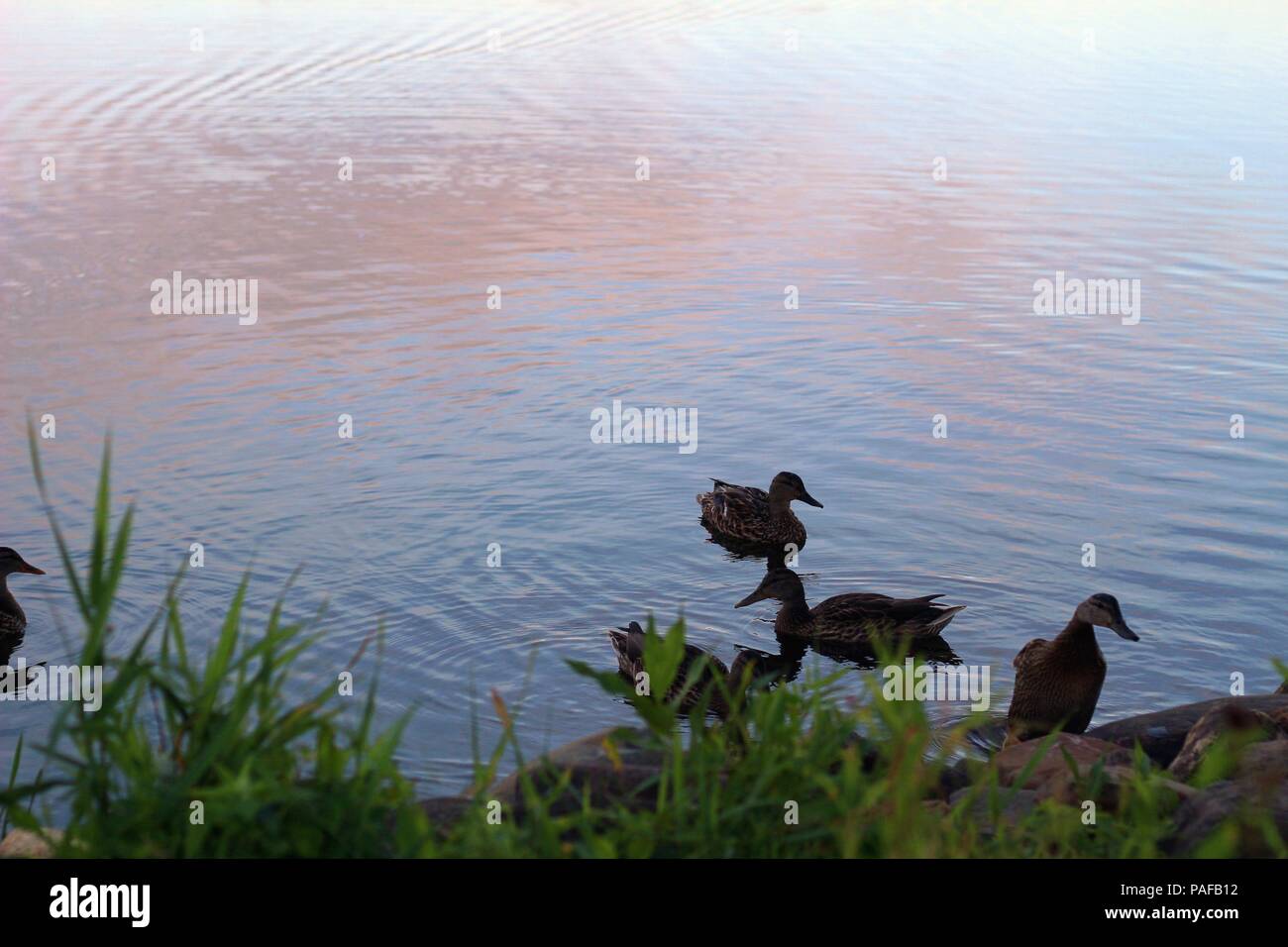 Town of china maine hi-res stock photography and images - Alamy
