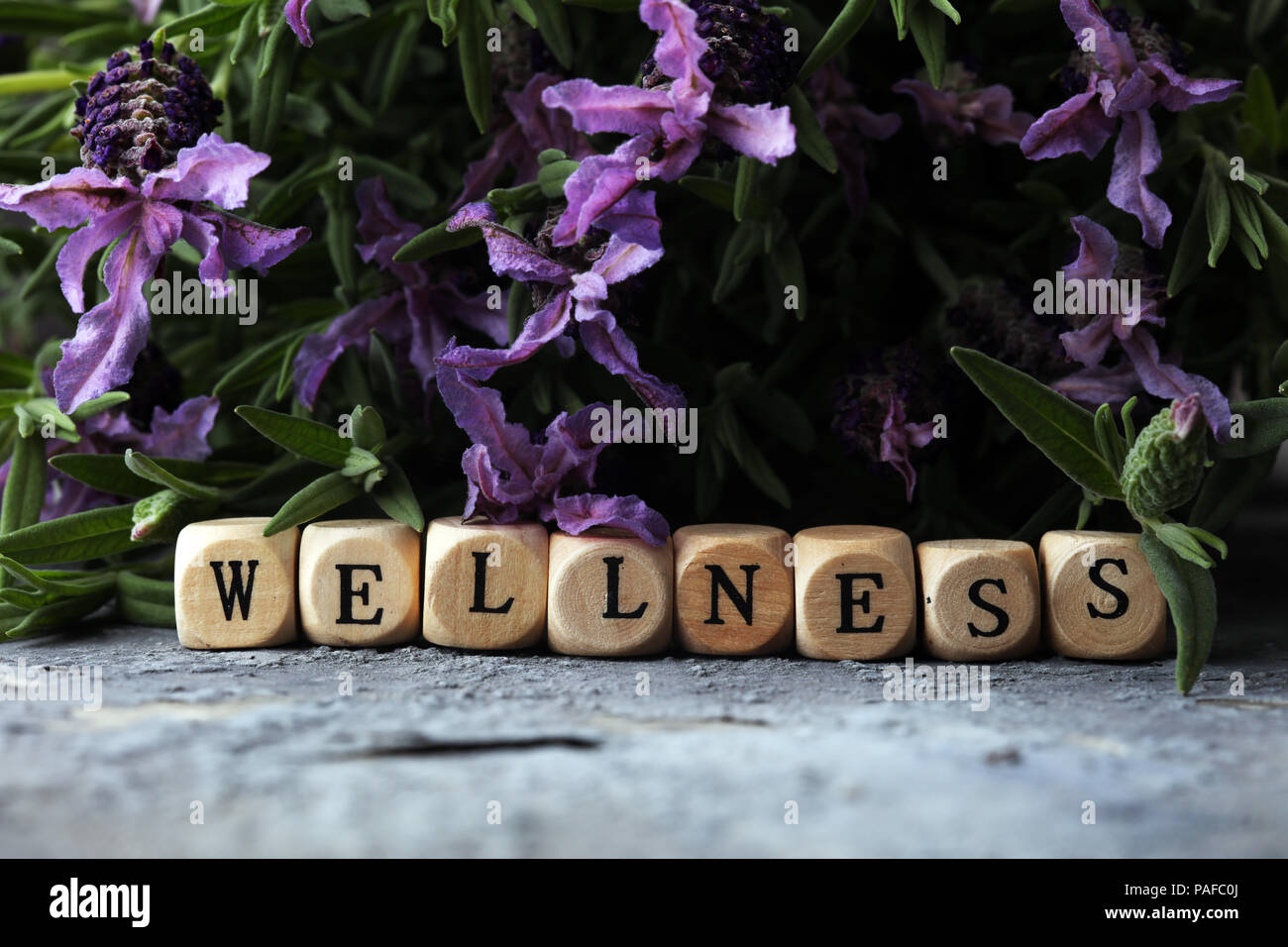 lavender fresh flowers and Wellness sign with wooden cubes Stock Photo ...