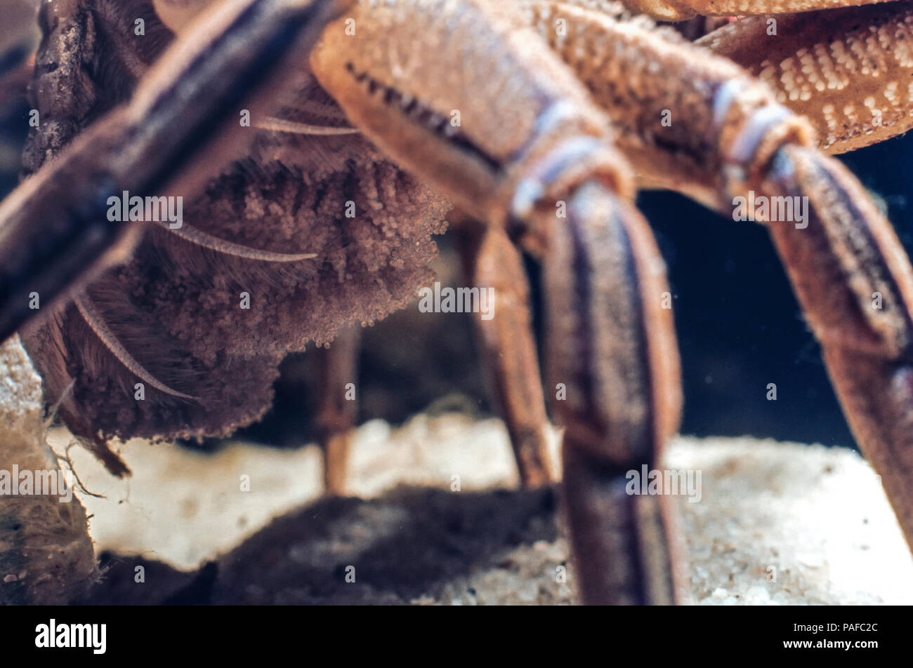 Fixed Mass High Resolution Stock Photography and Images - Alamy