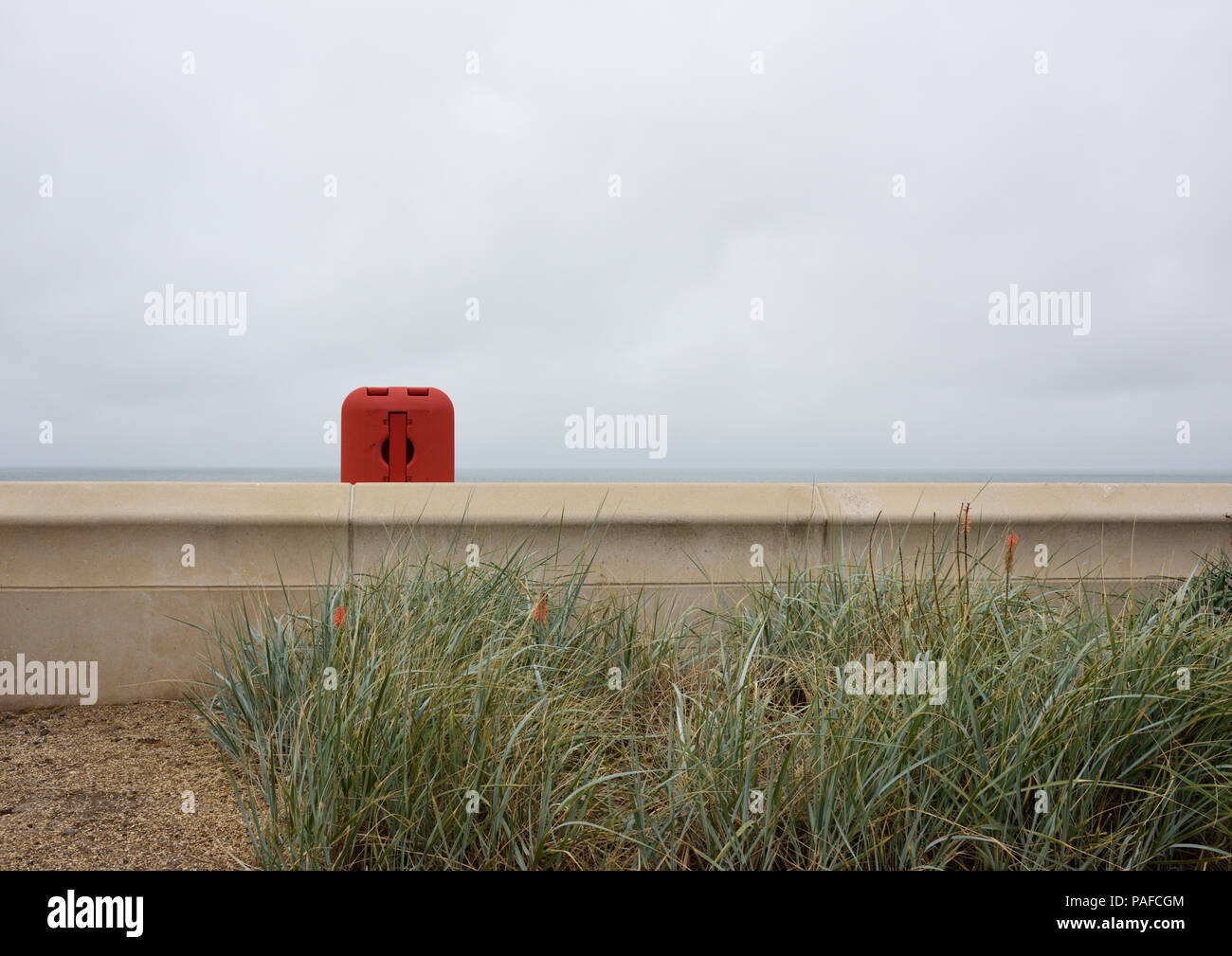 Sea wall and lifebuoy station from landward side, with grasses in ...