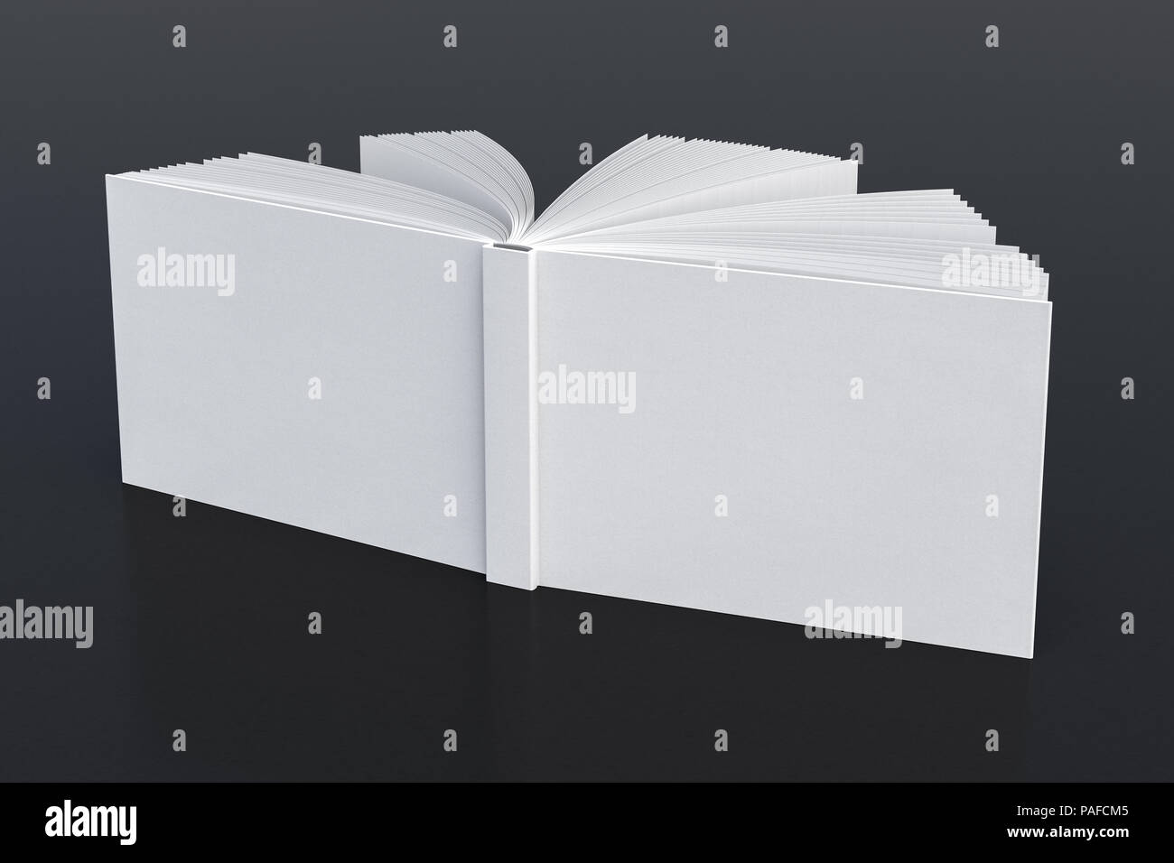White blank horizontal book cover standing isolated on black background ...