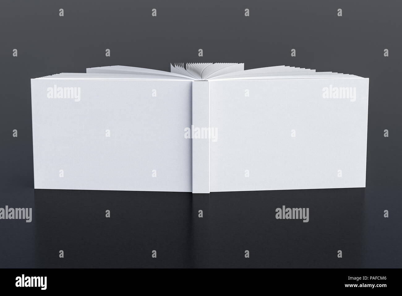White blank horizontal book cover standing isolated on black background ...