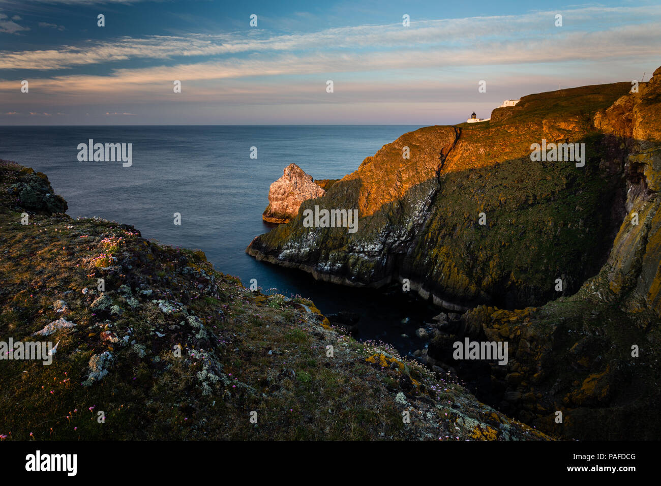 St. Abbs head, Berwickshire Stock Photo - Alamy