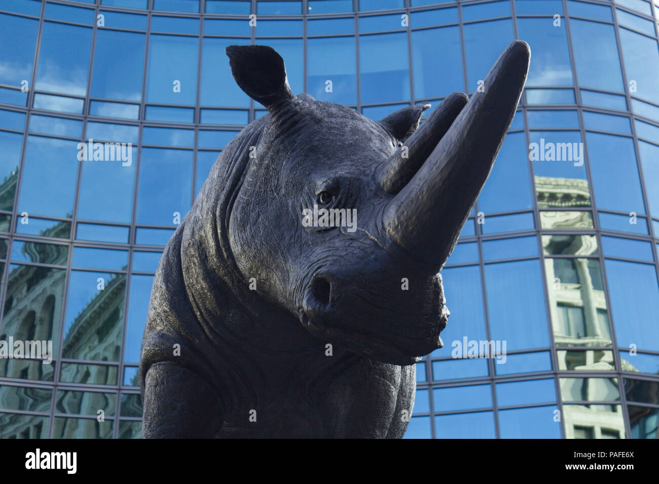 The last rhino on earth hi-res stock photography and images - Alamy