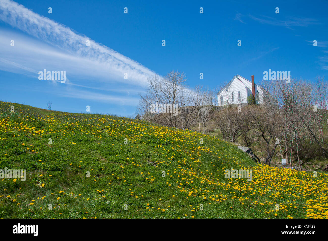 Newfoundland landscape hi-res stock photography and images - Alamy