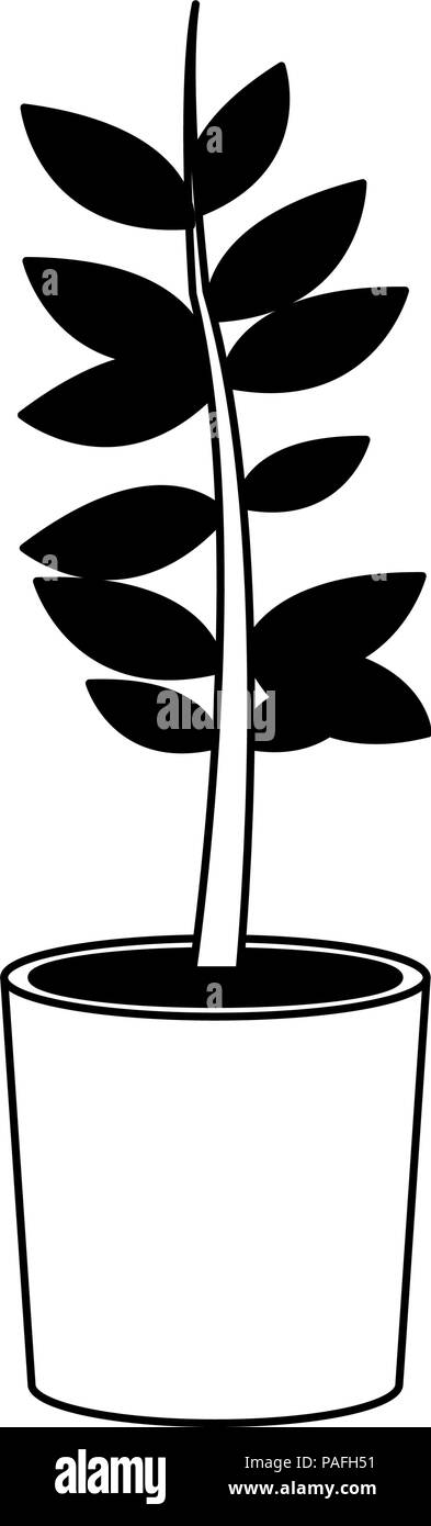 Plant in pot vector illustration graphic design Stock Vector Image ...