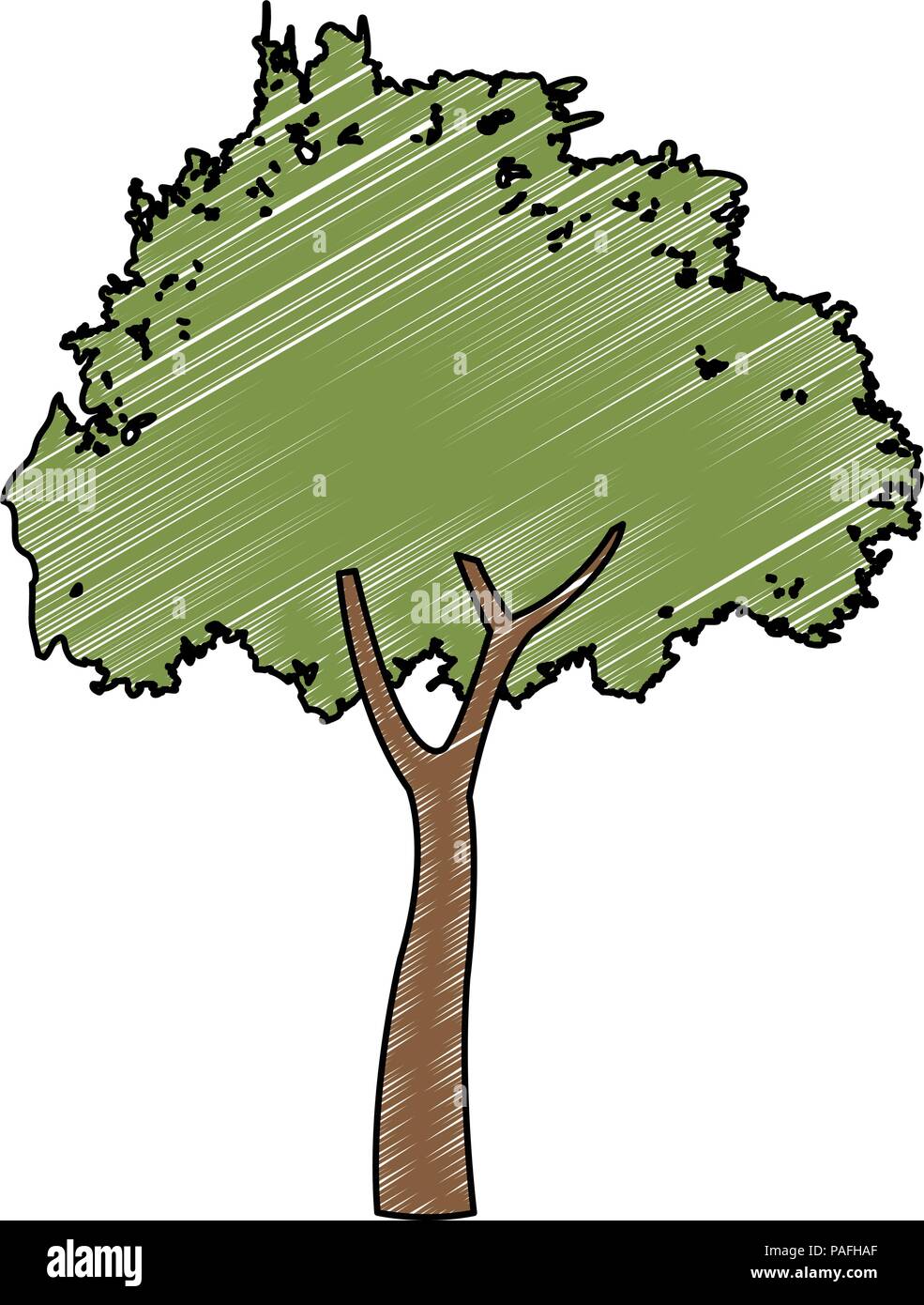Tree nature isolated vector illustration graphic design Stock Vector ...