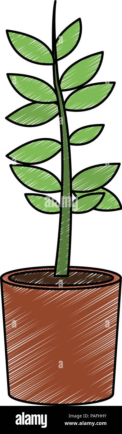 Plant in pot vector illustration graphic design Stock Vector Image ...