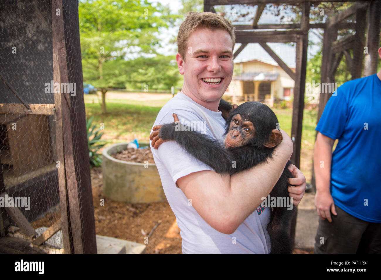 Young adult man smiles while hugging chimpanzee (Pan troglodytes ...