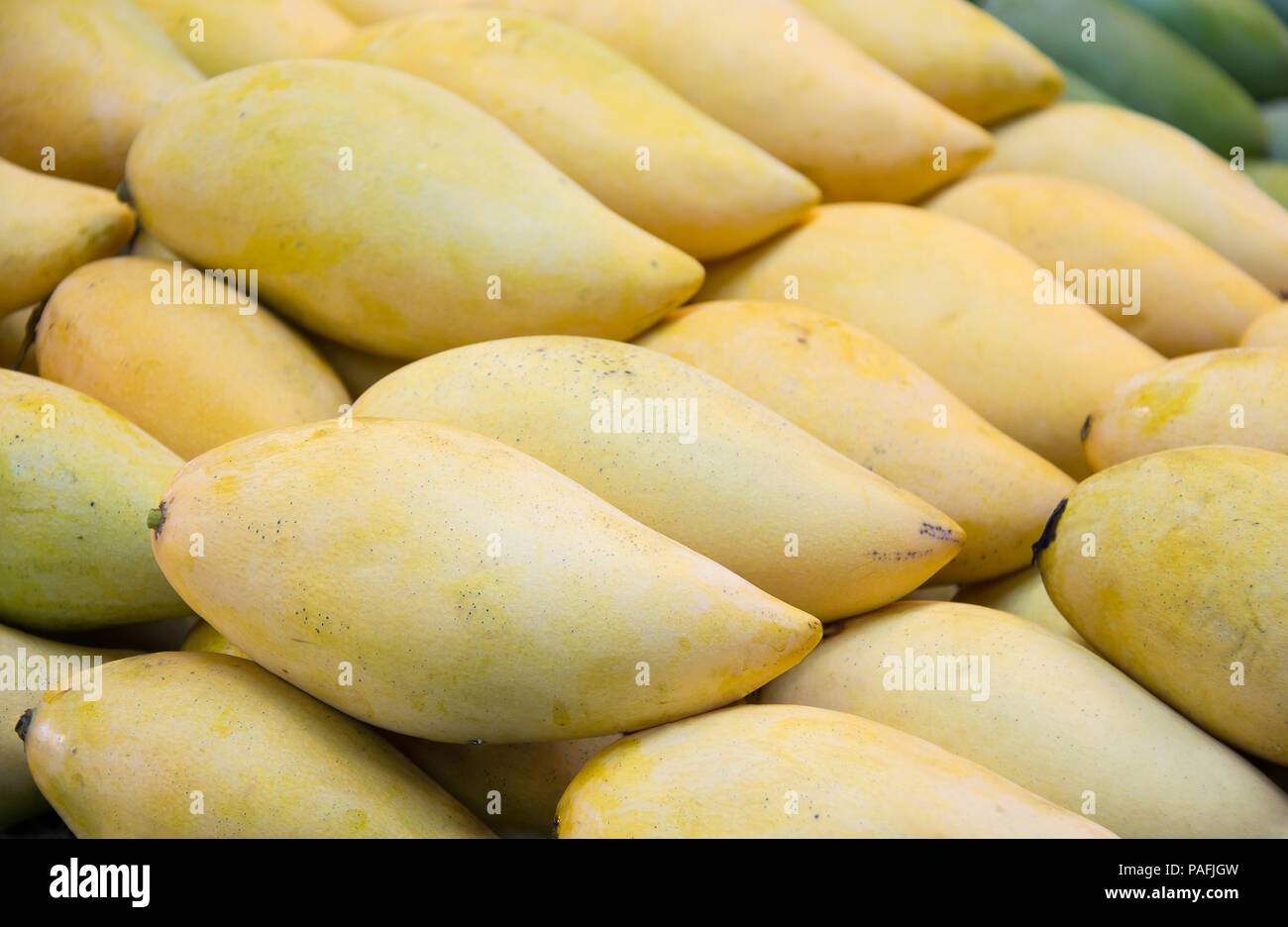yellow mango, Thailand Stock Photo - Alamy