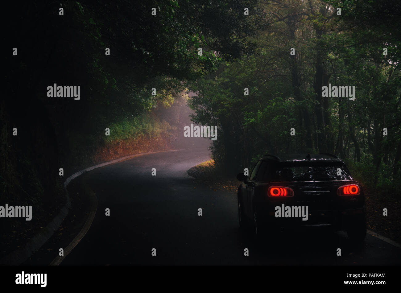 Road Trip by car across magic misty forest of Anaga Rural Park ...