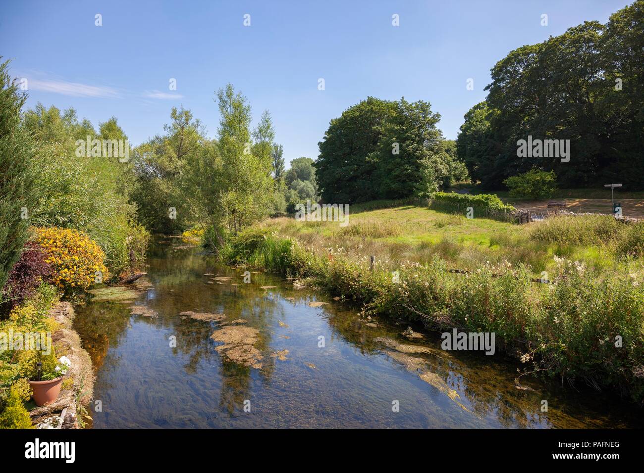 Eastleach river leach cotswolds hi-res stock photography and images - Alamy