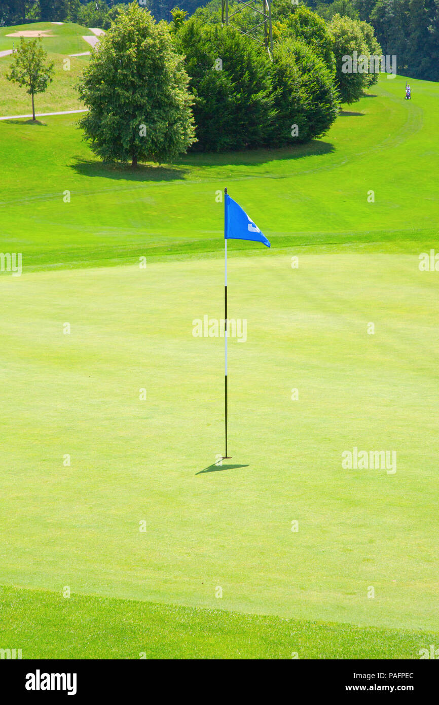 green grass of the golf course Stock Photo - Alamy
