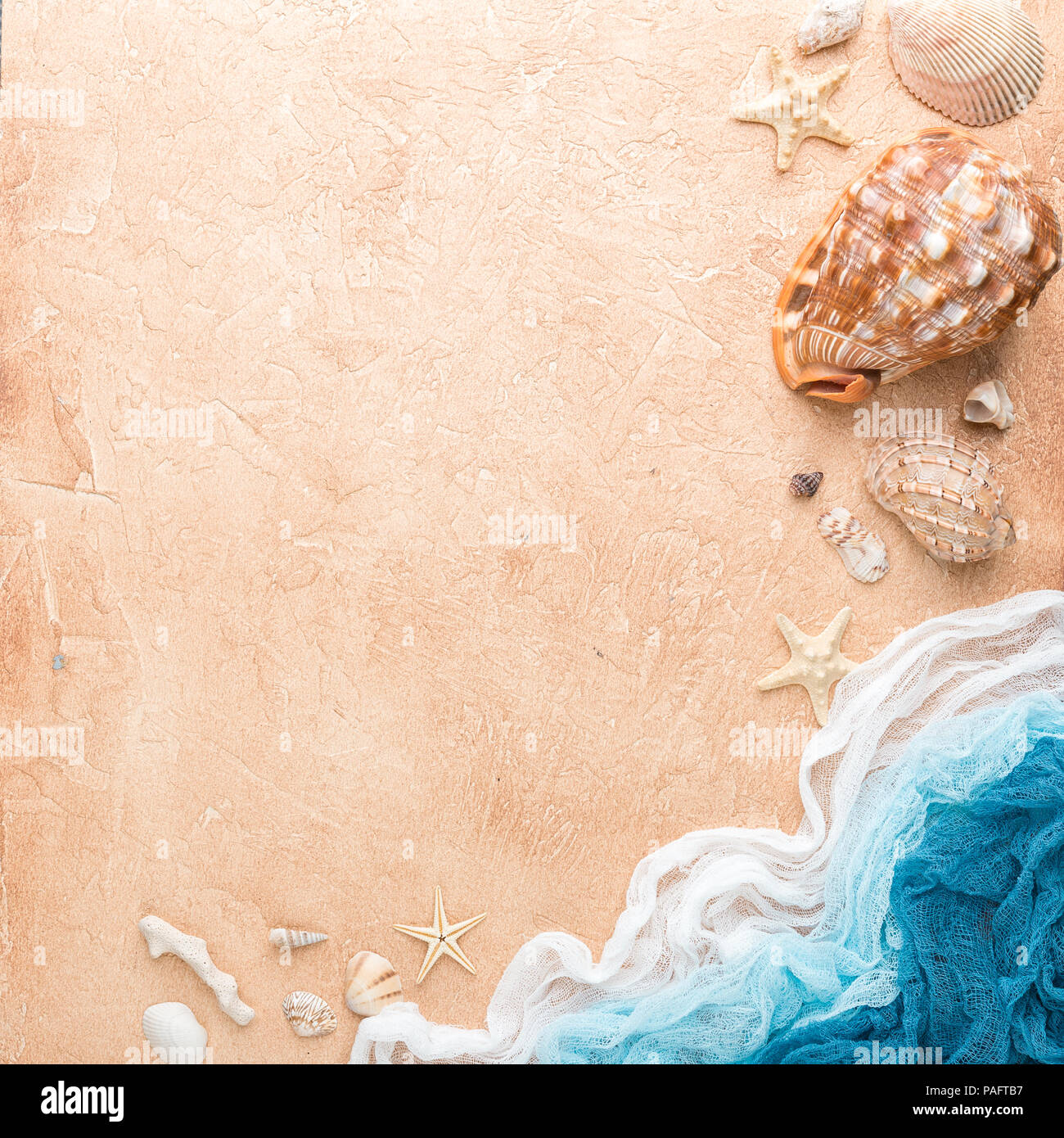 Sea shells on sand background. Flat lay, top view, square, copy space ...