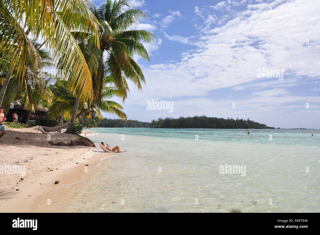 Manta ray french polynesia manta hi-res stock photography and images ...
