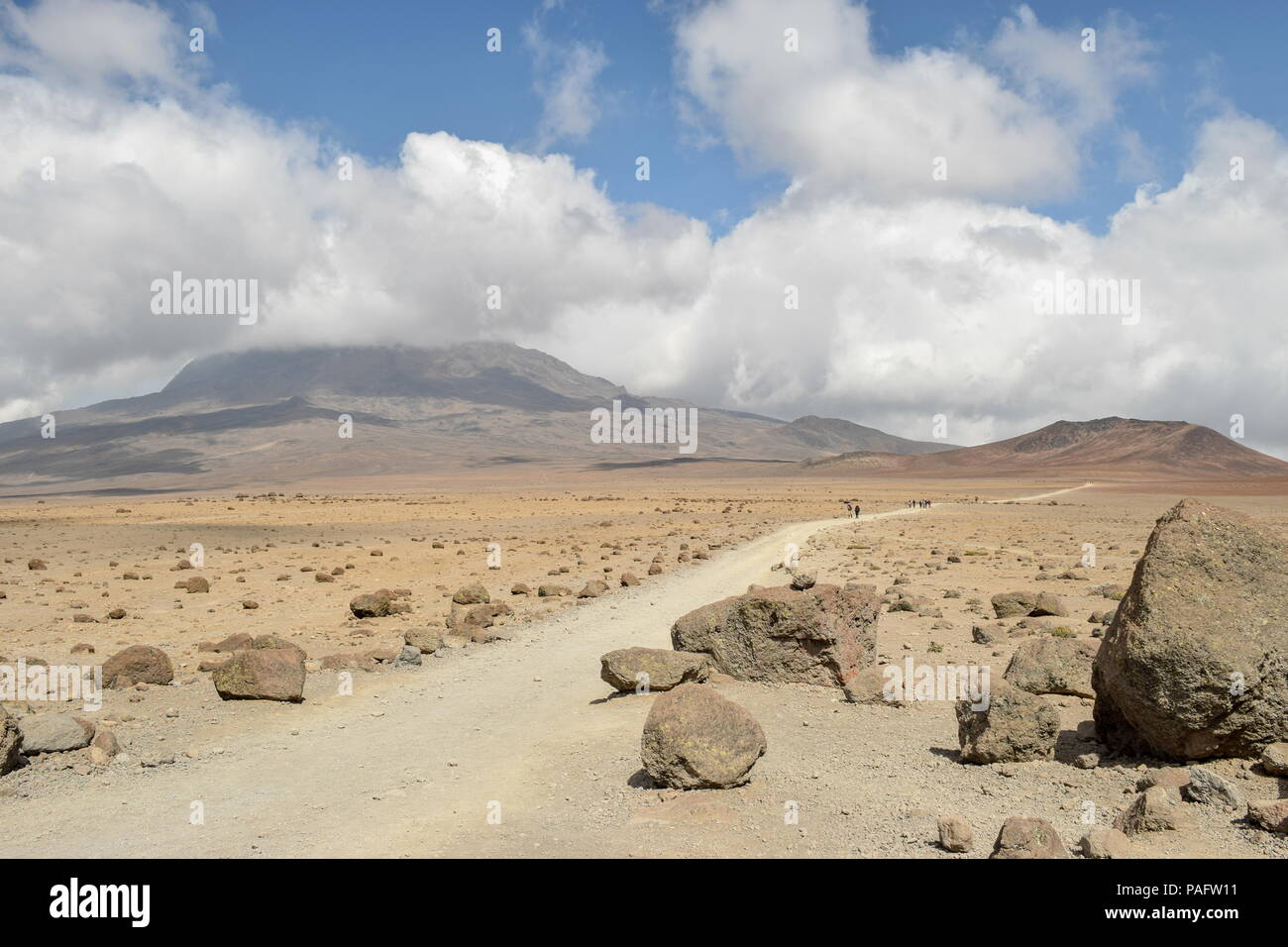 Hiking Mount Kilimanjaro with Mawenzi Peak at the background, Tanzania ...