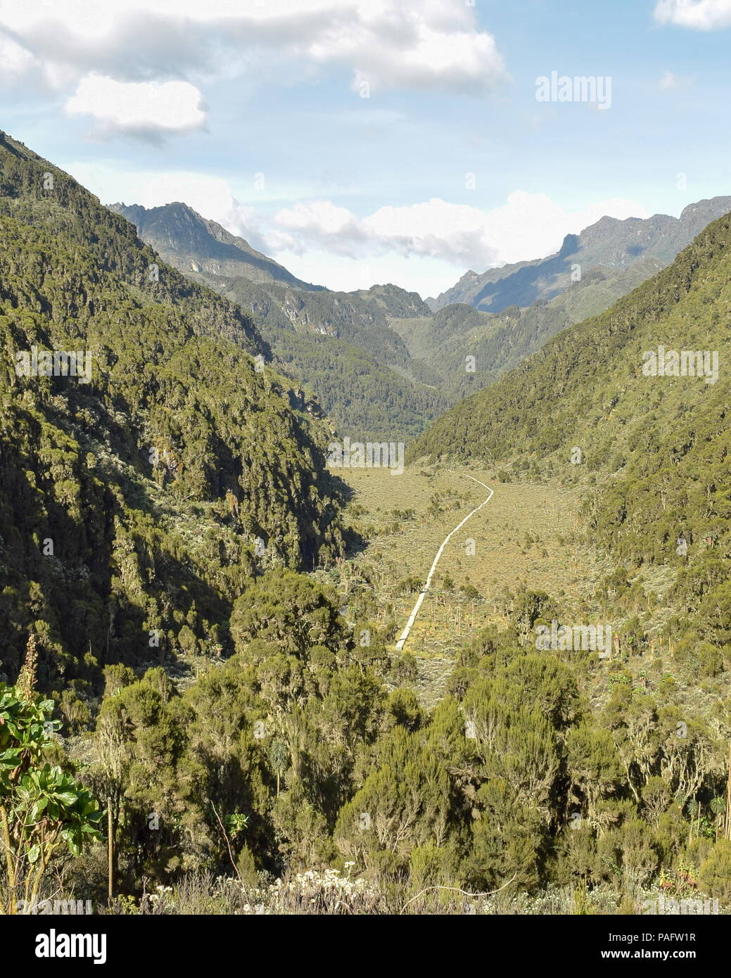 Mount stanley uganda hi-res stock photography and images - Alamy