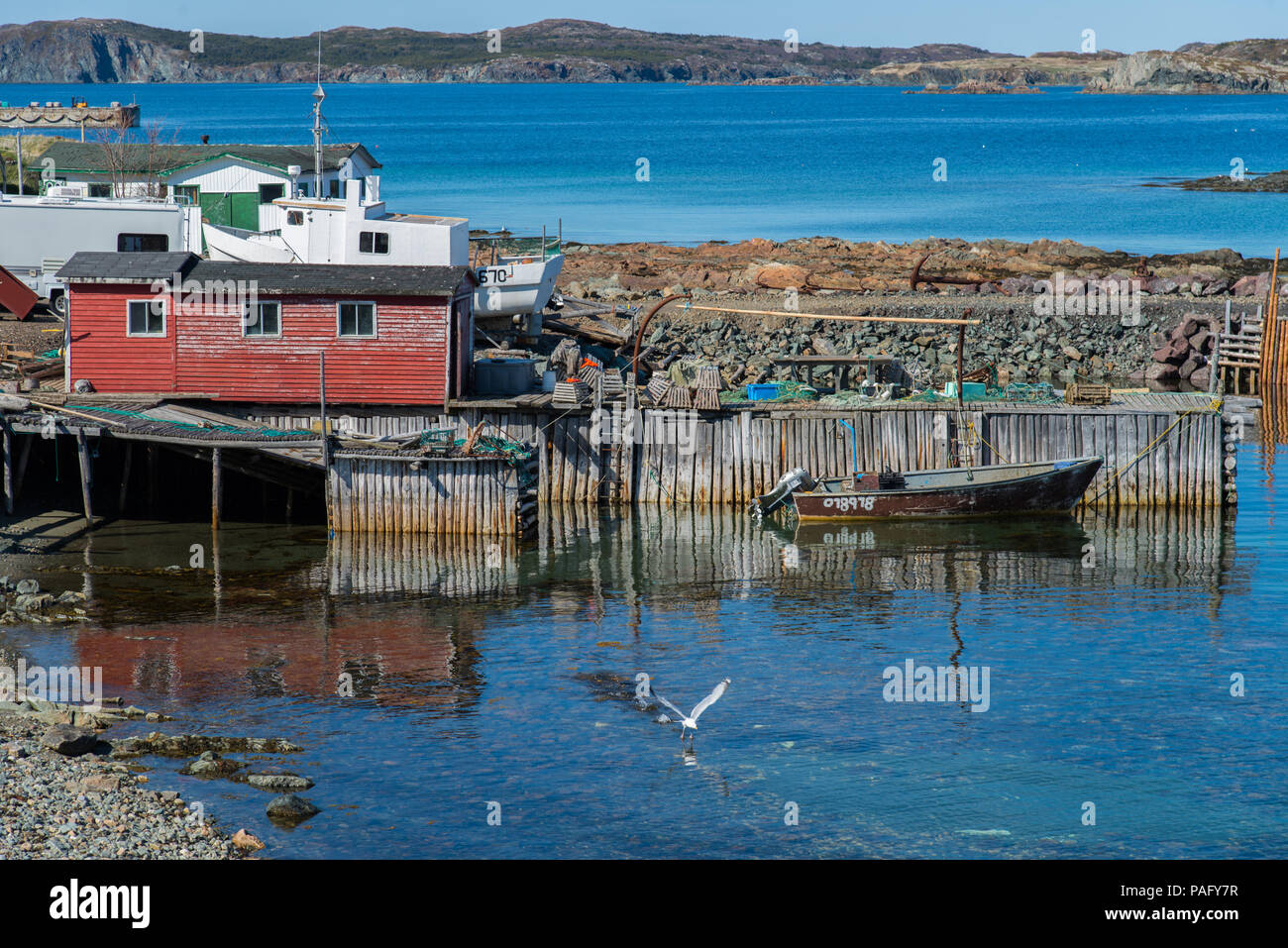 Newfoundland coastal scenery Stock Photo - Alamy