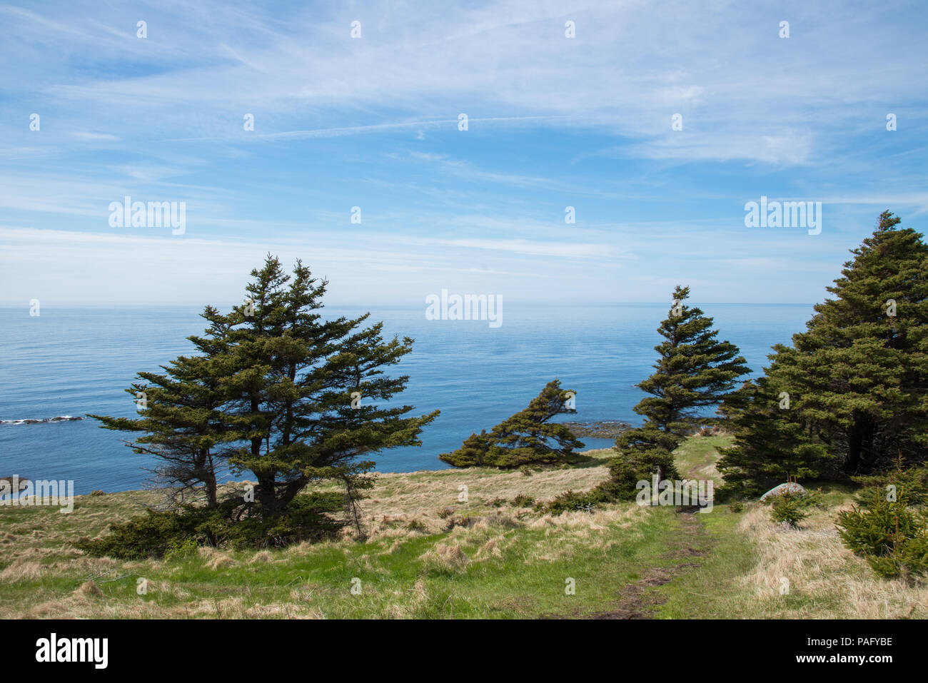 Newfoundland coastal scenery Stock Photo - Alamy