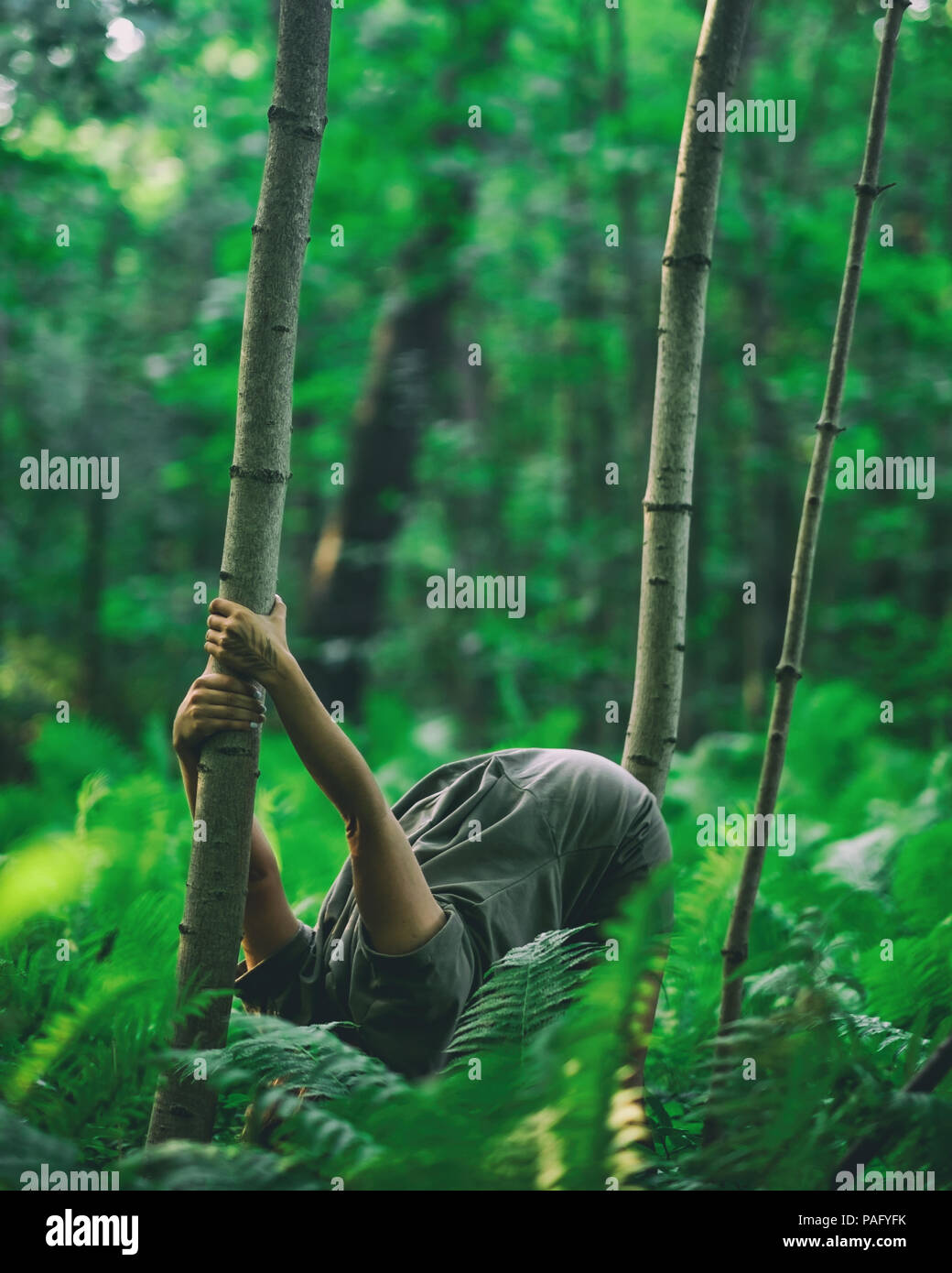 Bending tree pose hi-res stock photography and images - Alamy