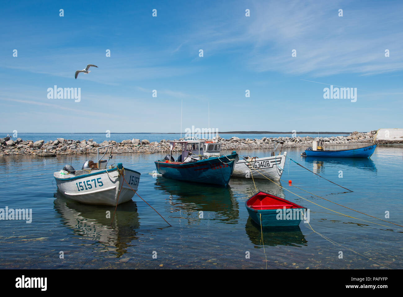 Newfoundland coastal scenery Stock Photo - Alamy