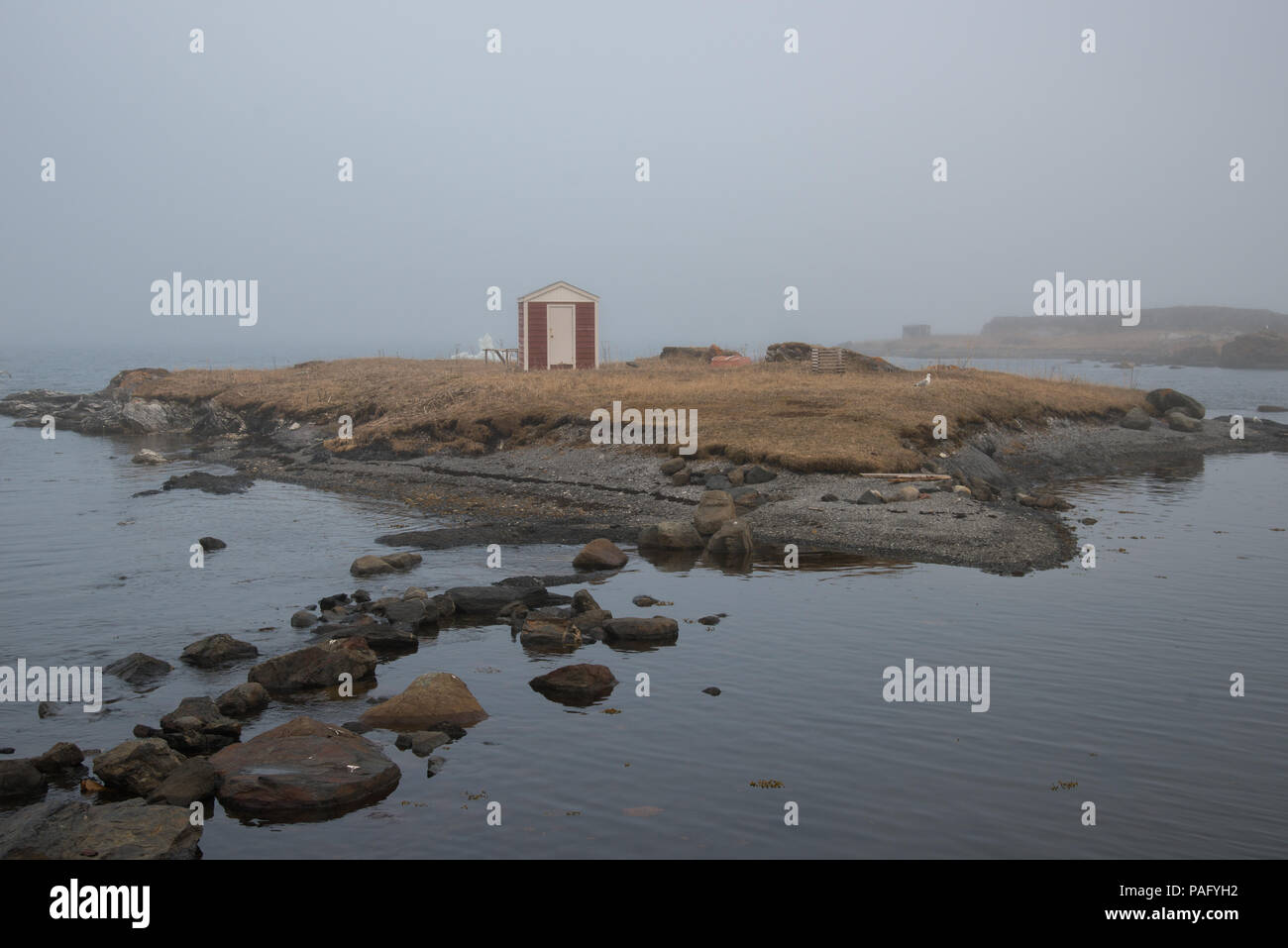 Newfoundland coastal scenery Stock Photo - Alamy