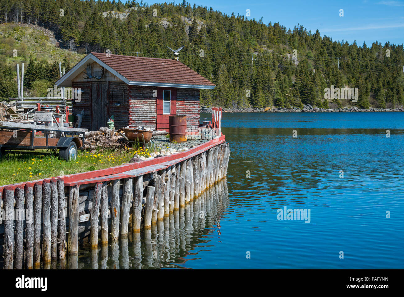 Newfoundland coastal scenery Stock Photo - Alamy
